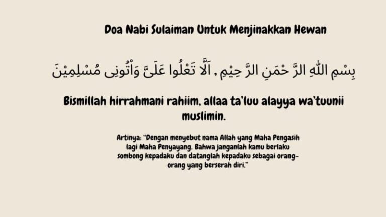 Ini Dia Doa Nabi Sulaiman Rezeki Melimpah Ruah - Agama Islam